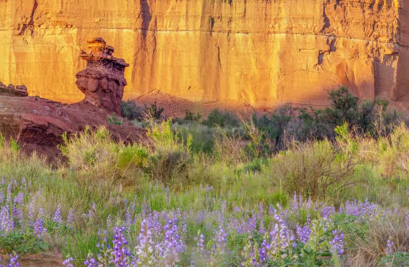 Capitol Reef National Park: Cathedral Valley Day Trip | GetYourGuide