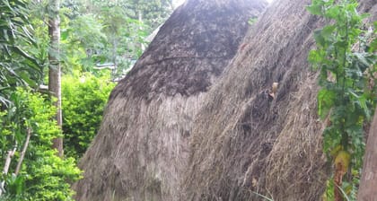 Marangu Waterfalls | GetYourGuide