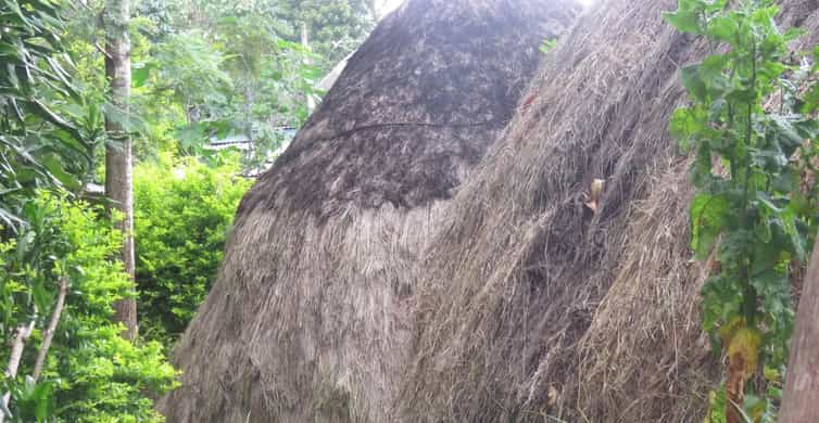 Marangu Waterfalls | GetYourGuide