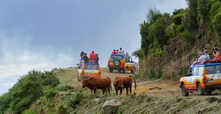 Fanal Pond, Madeira - Book Tickets & Tours | GetYourGuide