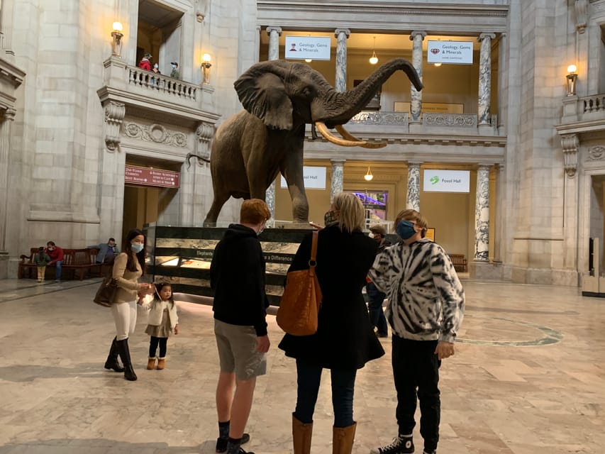 Smithsonian National Museum of Natural History Guided Tour | GetYourGuide