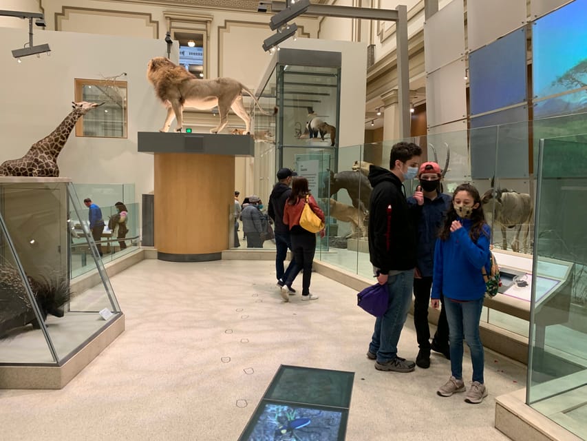 Smithsonian National Museum of Natural History Guided Tour | GetYourGuide