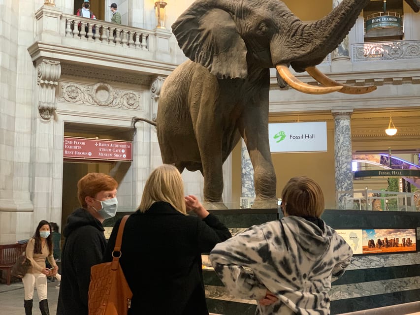 Smithsonian National Museum of Natural History Guided Tour | GetYourGuide