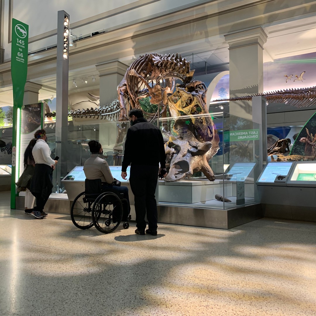 Smithsonian National Museum of Natural History Guided Tour | GetYourGuide