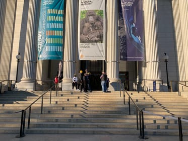 Smithsonian National Museum of Natural History Guided Tour | GetYourGuide