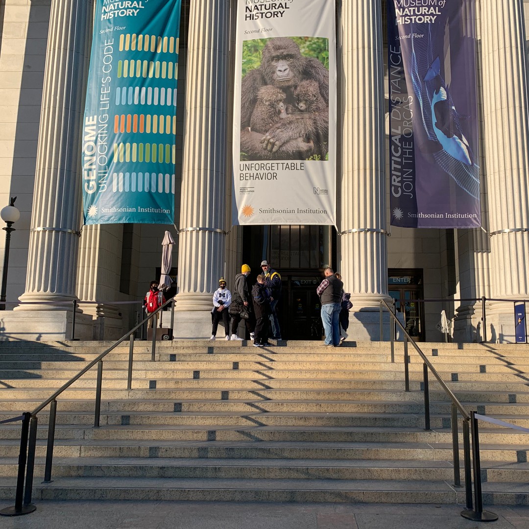 Smithsonian National Museum of Natural History Guided Tour | GetYourGuide