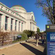 Smithsonian National Museum of Natural History Guided Tour | GetYourGuide