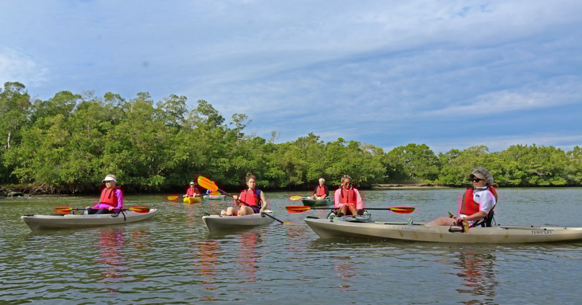 Florida Keys: Key West Kayak Eco Tour with Nature Guide | GetYourGuide