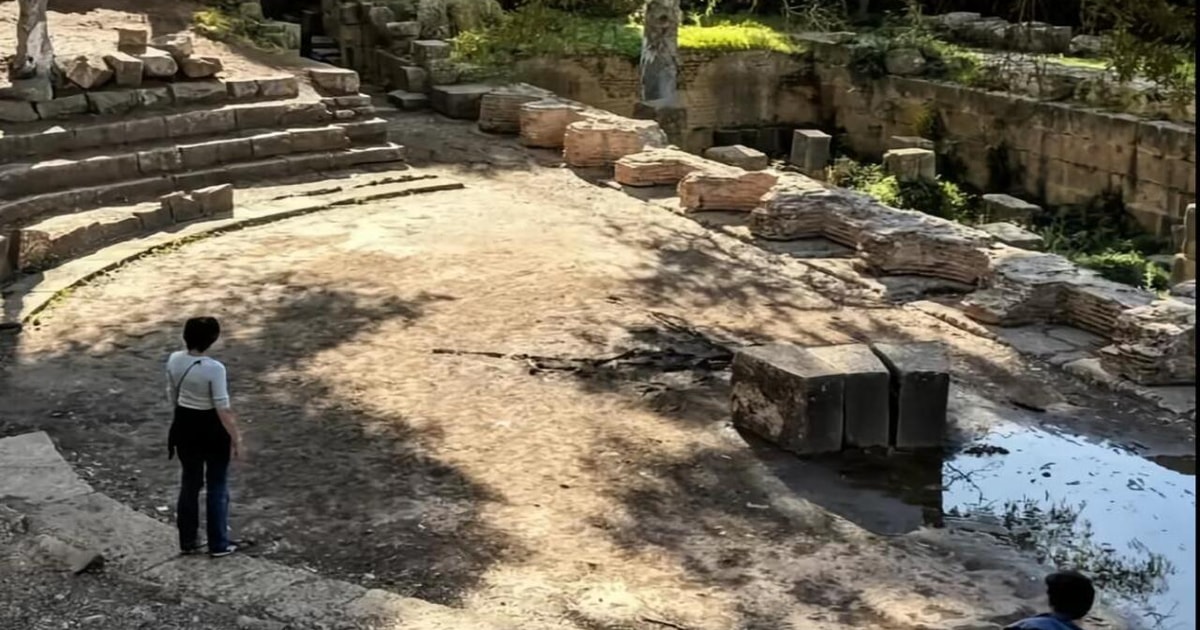 Algiers: Tipaza and Cherchell Roman Ruins Tour with Guide | GetYourGuide