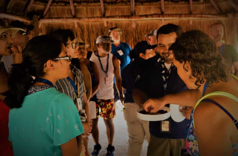 From Cancun: Coba, Tulum & Mayan Traditions Guided Tour | GetYourGuide