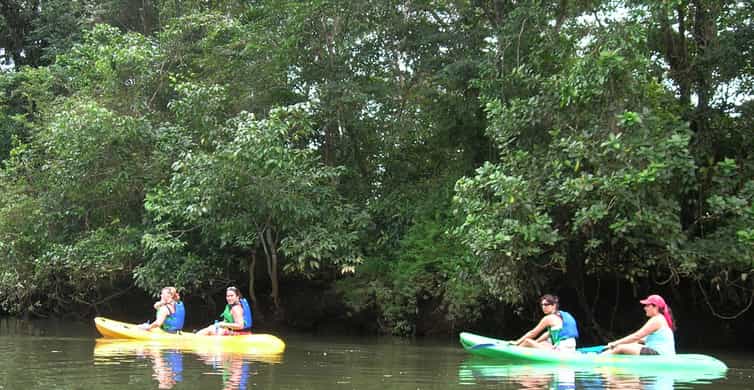Bahia Solano with Whales | GetYourGuide