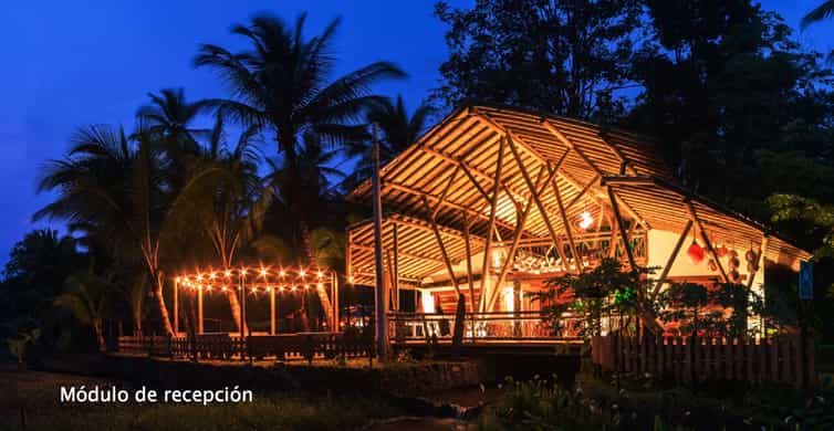 Bahia Solano with Whales | GetYourGuide