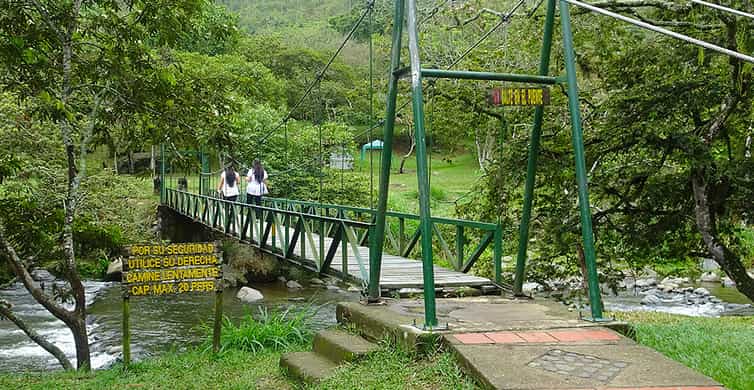 Senderismo por el Río Pance y el Pico de Loro | GetYourGuide