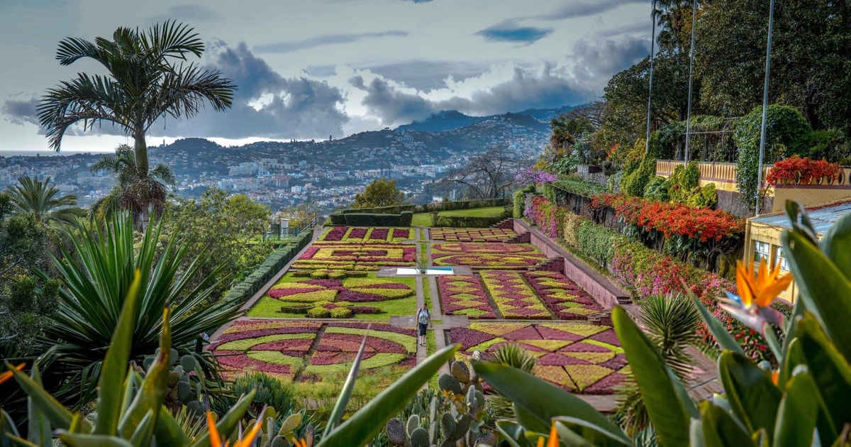 Funchal: Jardín Botánico y Casco Antiguo en TukTuk (1h45) | GetYourGuide