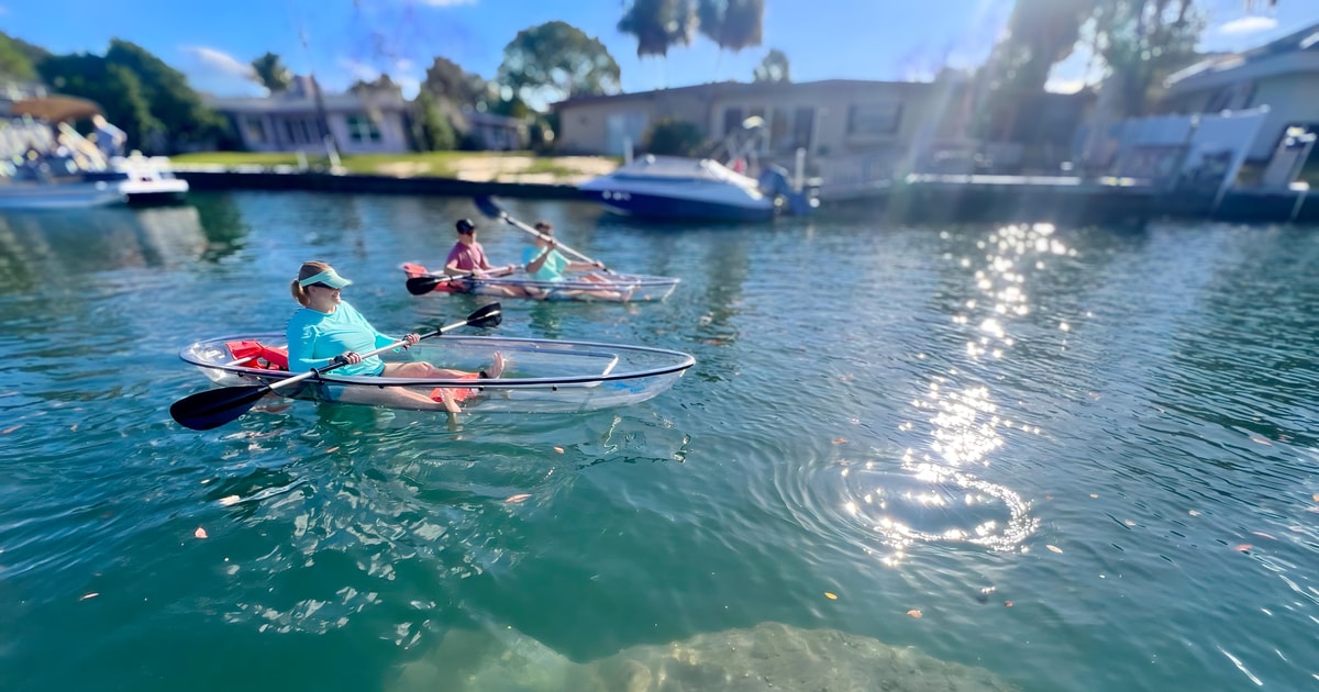 Crystal River: Clear Kayak Manatee Tour w/Free Photo Package | GetYourGuide