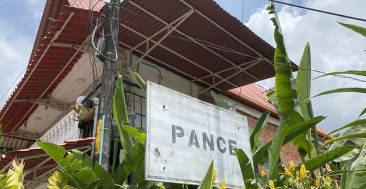 Birdwatching in Pance | GetYourGuide