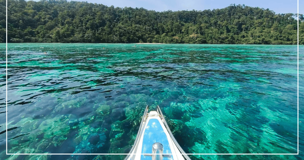 Ko Lanta: Koh Rok and Koh Haa Snorkelling Tour by Speedboat | GetYourGuide
