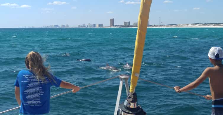 Shell Island: Snorkel & Dolphin Tour on Footloose Catamaran | GetYourGuide