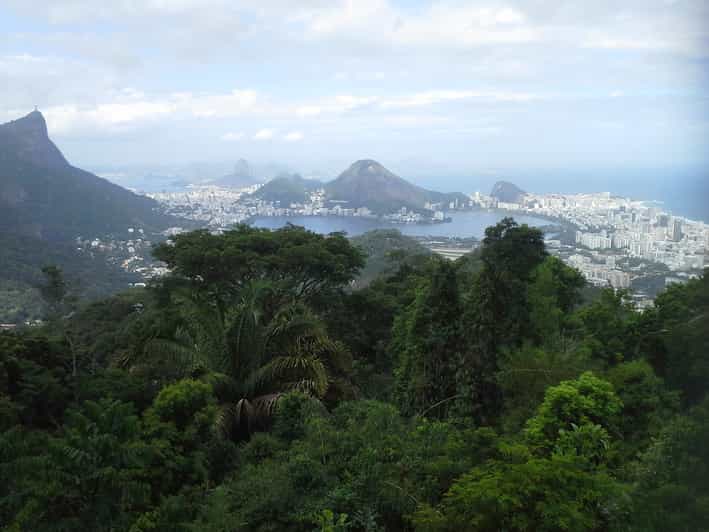 Private Tijuca Forest & Botanical Garden Tour mit Führung | GetYourGuide