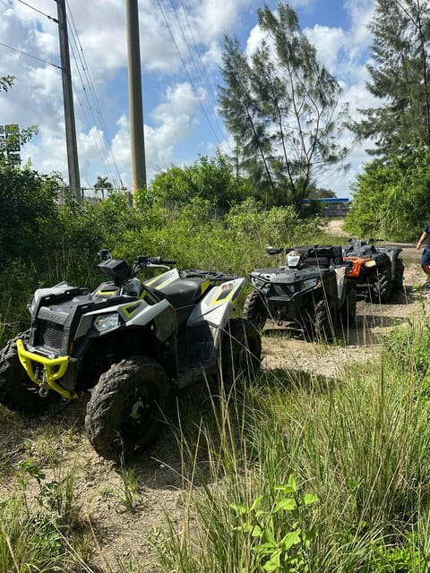 #1 ATV Rentals in Miami | GetYourGuide