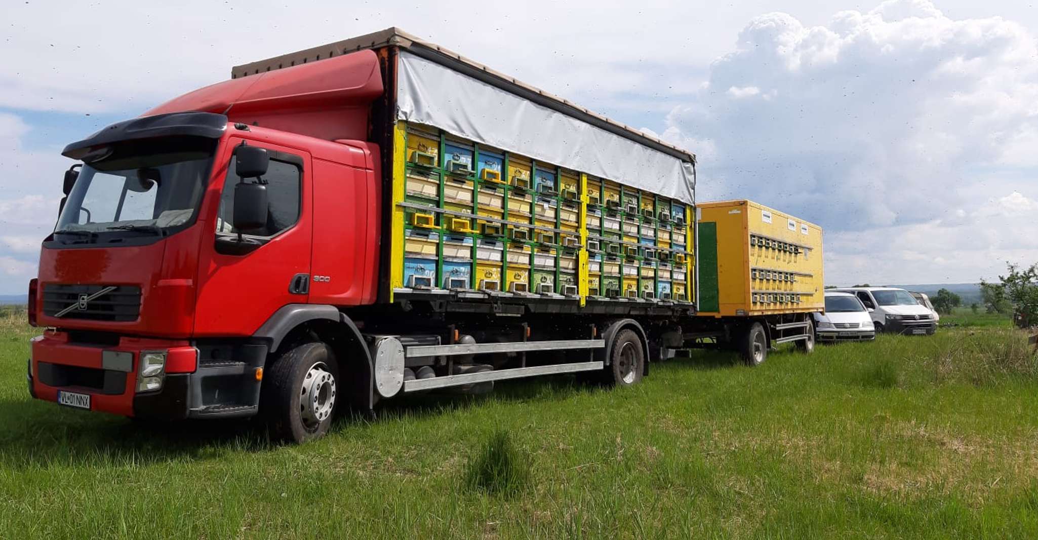 Bees in Romania - Private Beekeeping Lesson and Local Lunch | Private ...