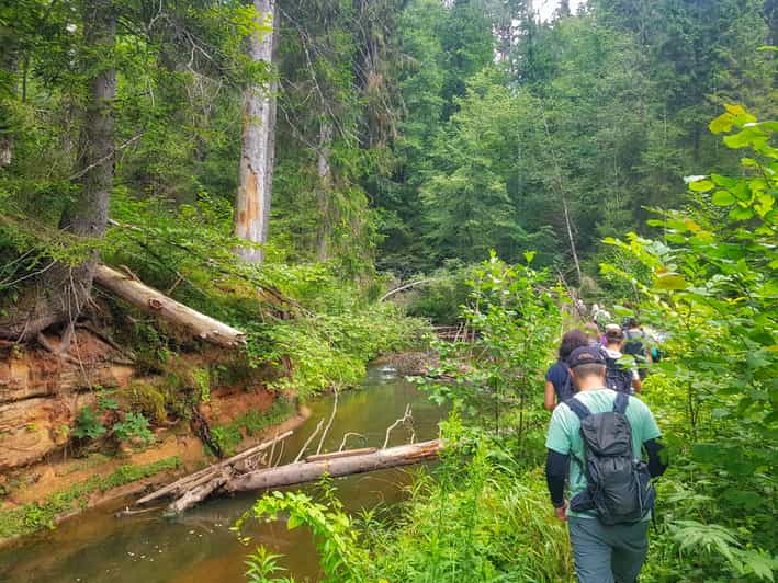 From Riga: Gauja National Park Hiking & Sightseeing Trip | GetYourGuide
