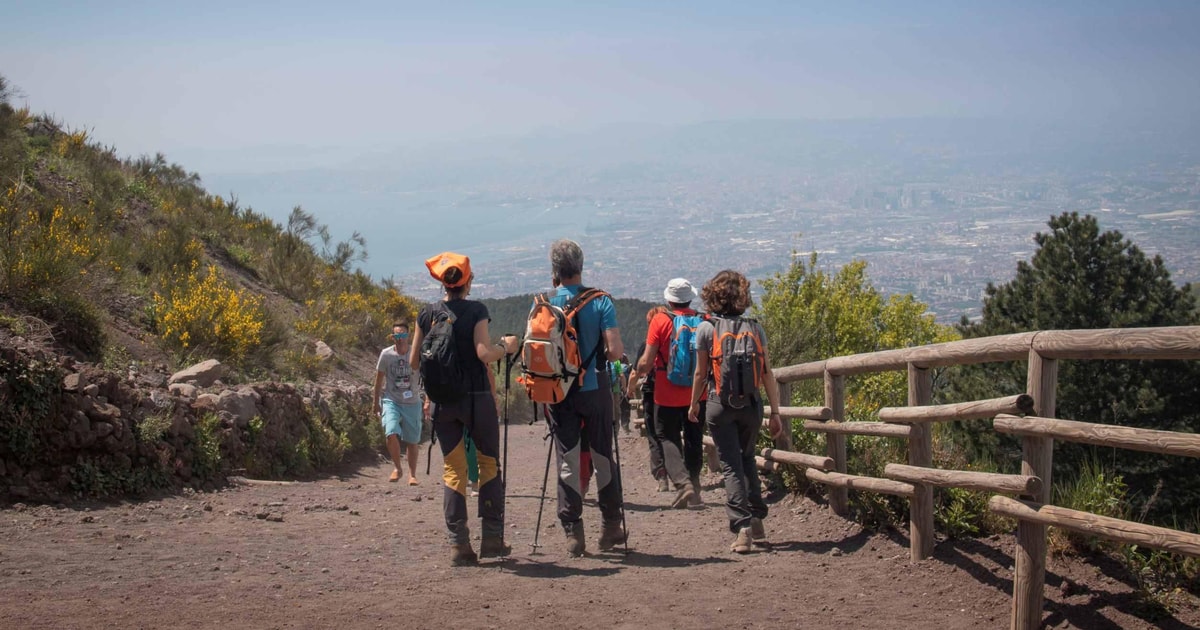Shore Excursions: Pompeii & Vesuvius shared guided tour | GetYourGuide