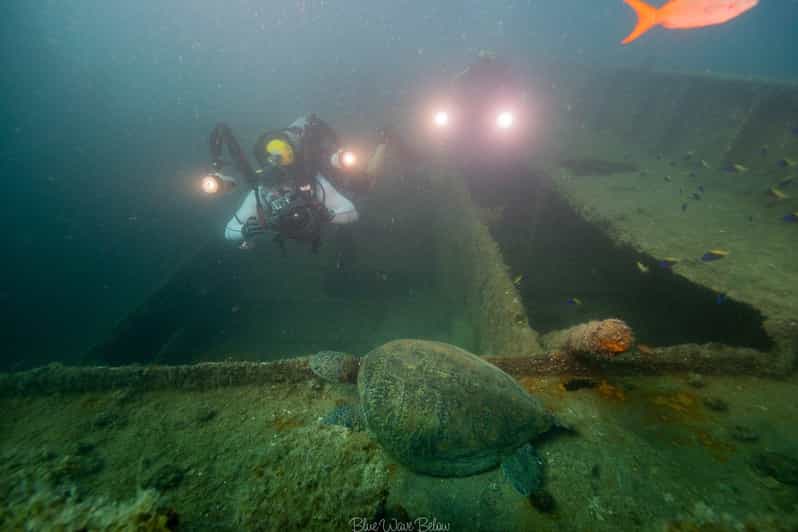 La Paz: Shipwreck Diving Experience | GetYourGuide