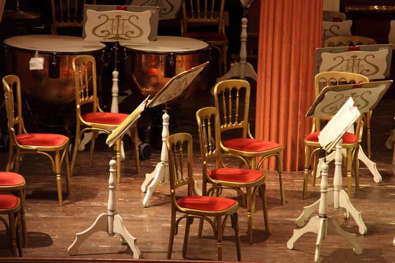 Vienna: Private Guided Beethoven Walking Tour | GetYourGuide