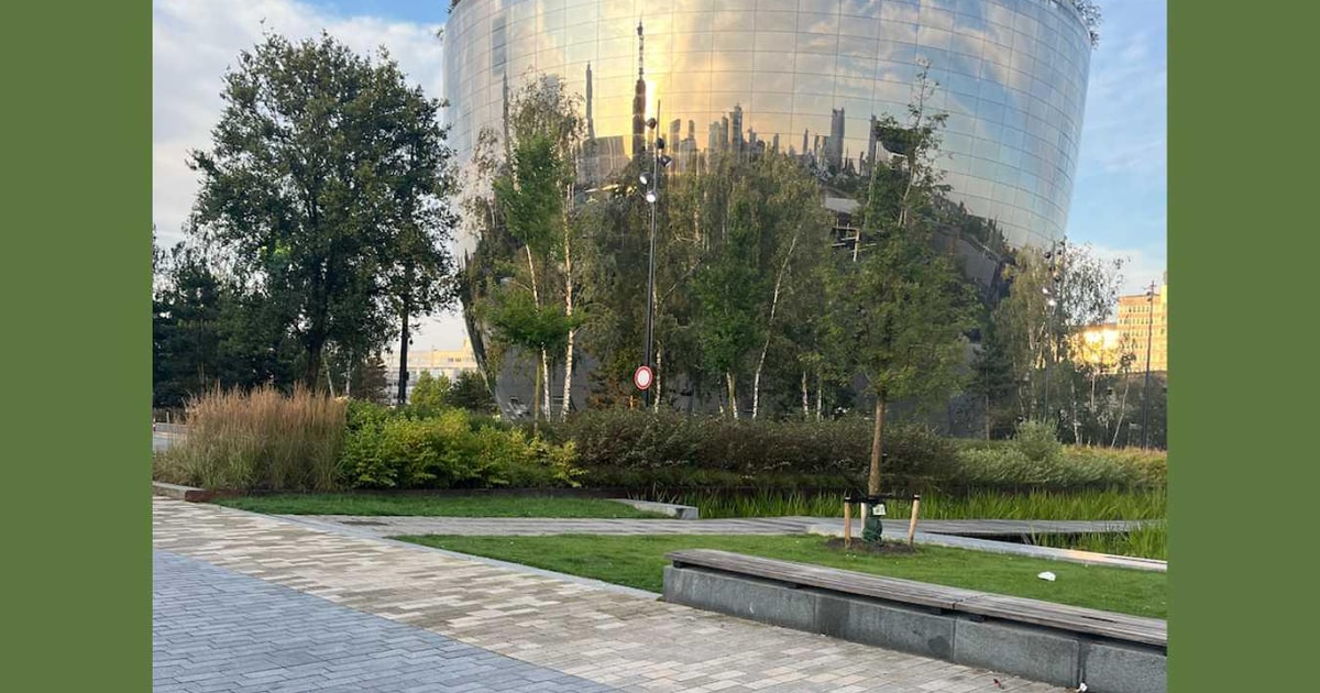 Rotterdam: DOG Walking Tour - Fun with your Furry Friends! | GetYourGuide