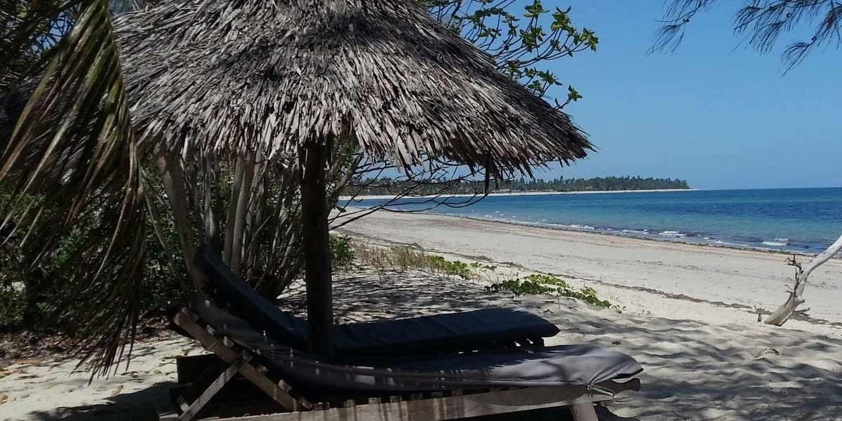 Usambara Mountains and Pangani Beach and cultural | GetYourGuide