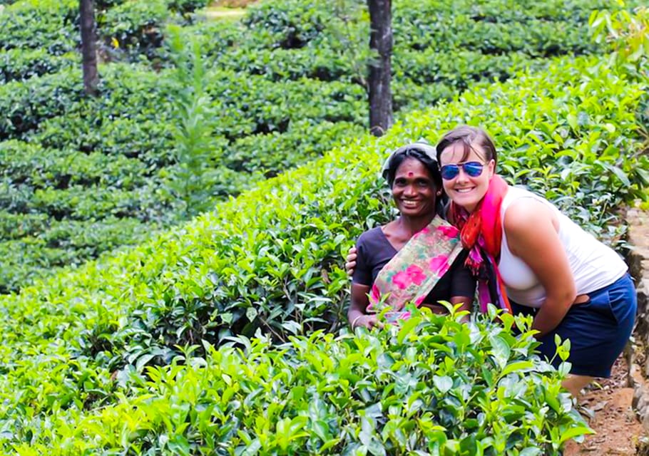 From Bentota or Beruwela: Private Day Tour to Kandy | GetYourGuide