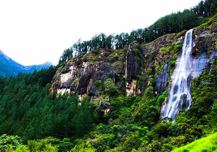 From Ella: Bambarakanda & Lanka Ella Falls Hike with Lunch | GetYourGuide