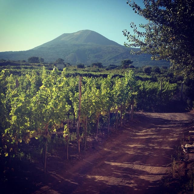 Naples: Mount Vesuvius Vineyard Tour w/ Lunch & Wine Tasting | GetYourGuide