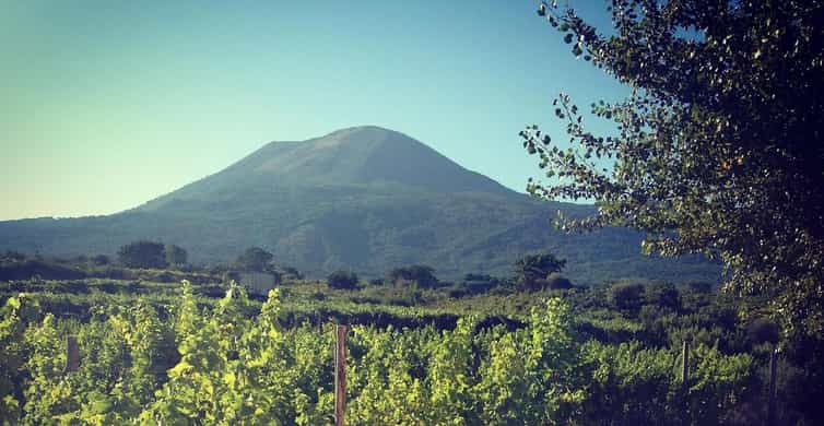 Naples: Mount Vesuvius Vineyard Tour w/ Lunch & Wine Tasting | GetYourGuide