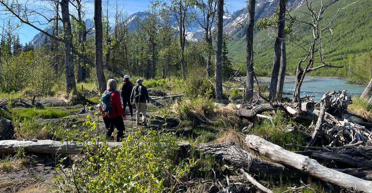 From Anchorage: Valley and Forest Hike with Naturalist Guide | GetYourGuide