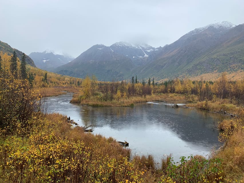 From Anchorage: Valley and Forest Hike with Naturalist Guide | GetYourGuide