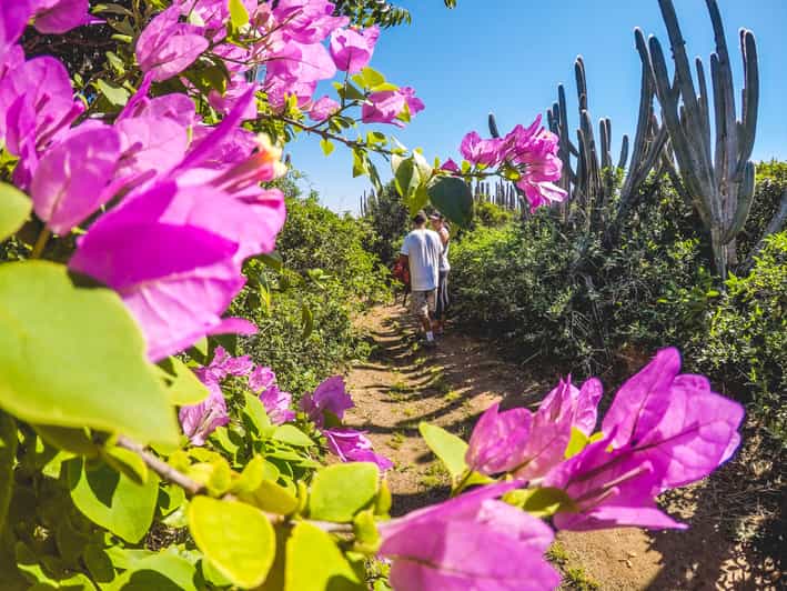Armação dos Búzios: Walk Through the Natural Pools in Búzios | GetYourGuide