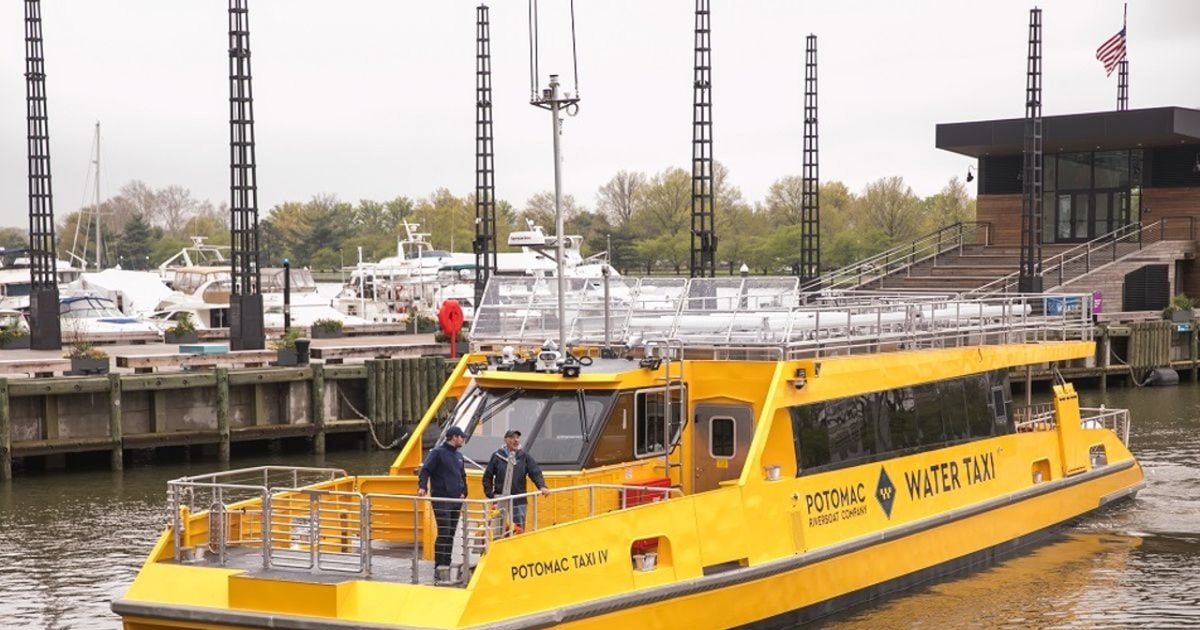 City Cruises Washington:1 or 2-Day Unlimited Water Taxi Pass | GetYourGuide