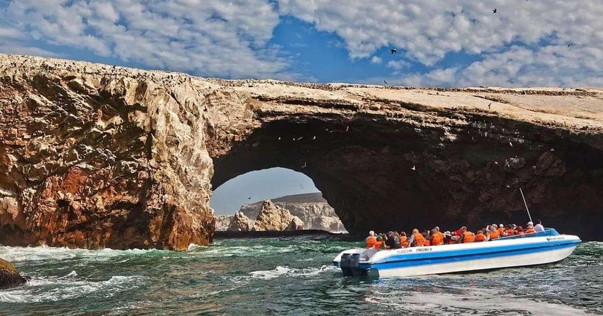 Tour di un giorno Paracas Isole Ballestas, Tour della città Ica Tubular ...