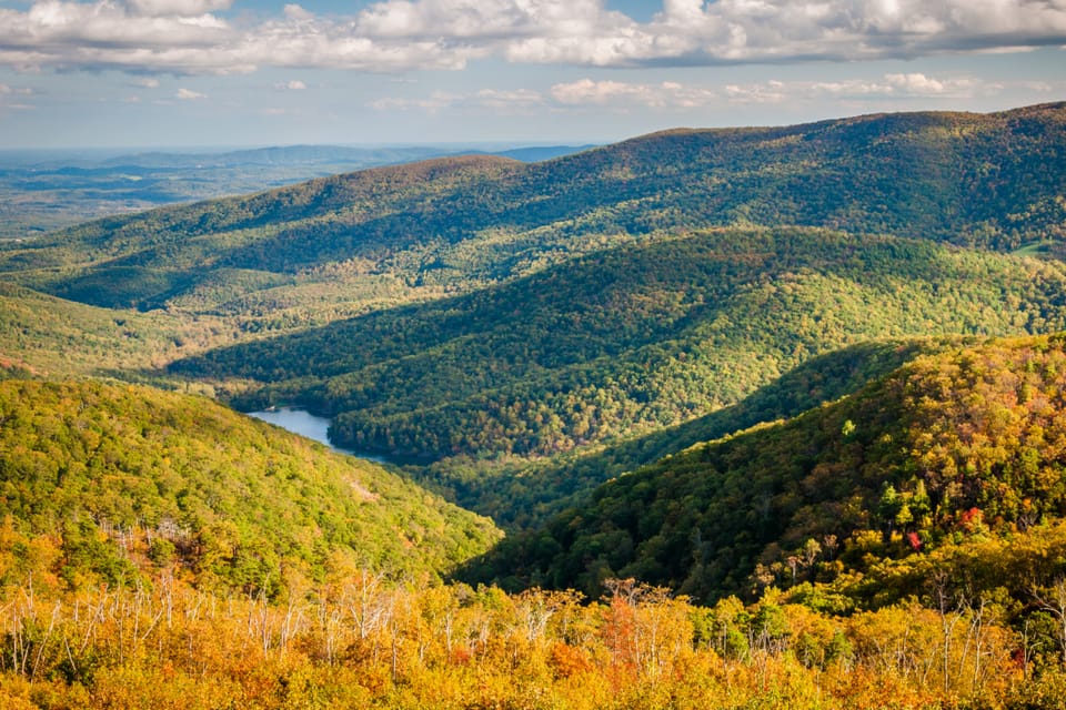 Parque Nacional de Shenandoah: Audioguía autoguiada | GetYourGuide