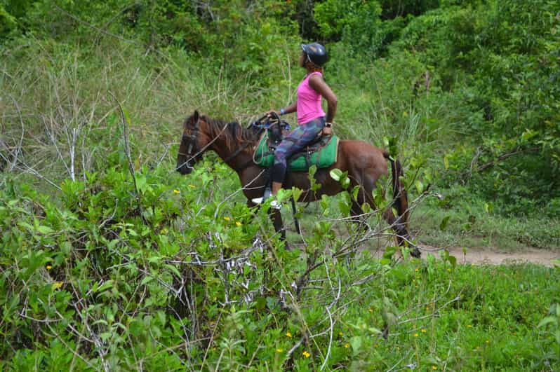 Puerto Plata: Mountain Horse Ride Tour with Drinks | GetYourGuide
