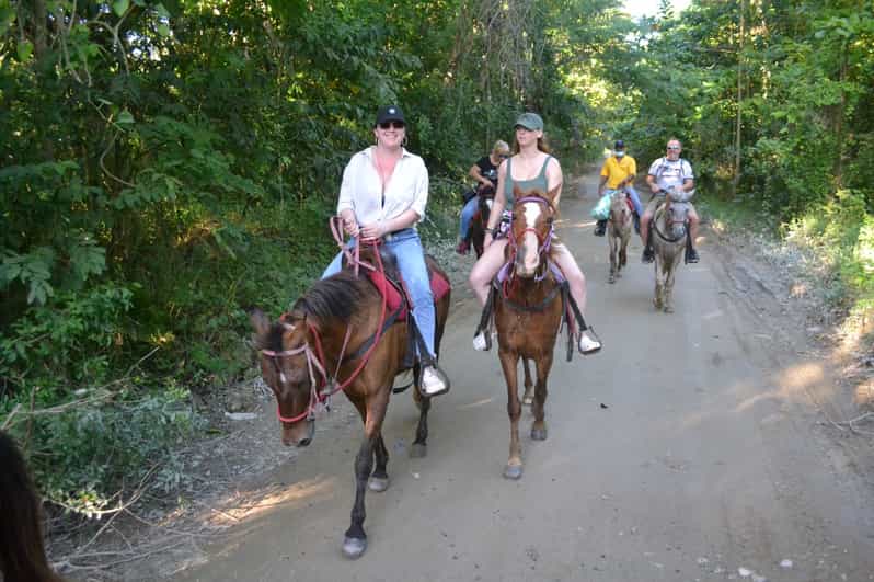 Puerto Plata: Mountain Horse Ride Tour with Drinks | GetYourGuide