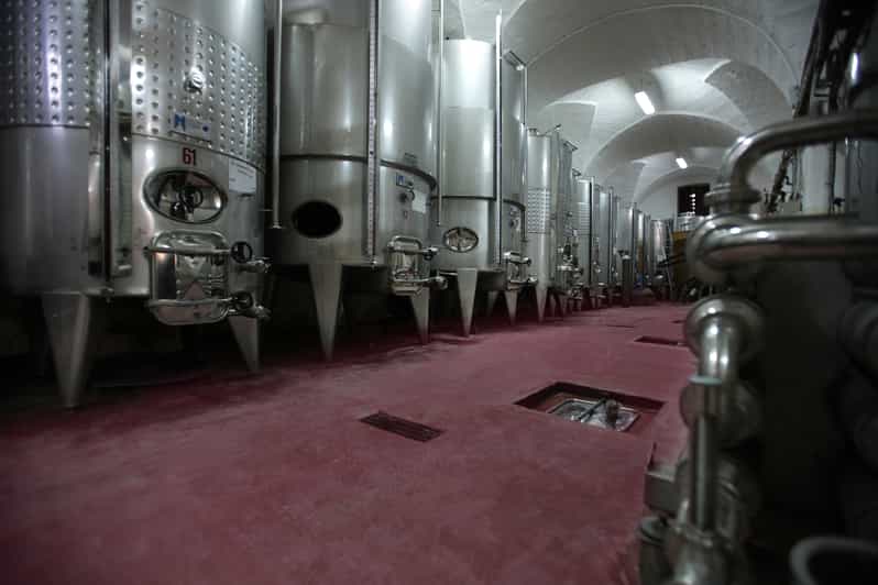 Salento: Winery Tour and Tasting | GetYourGuide