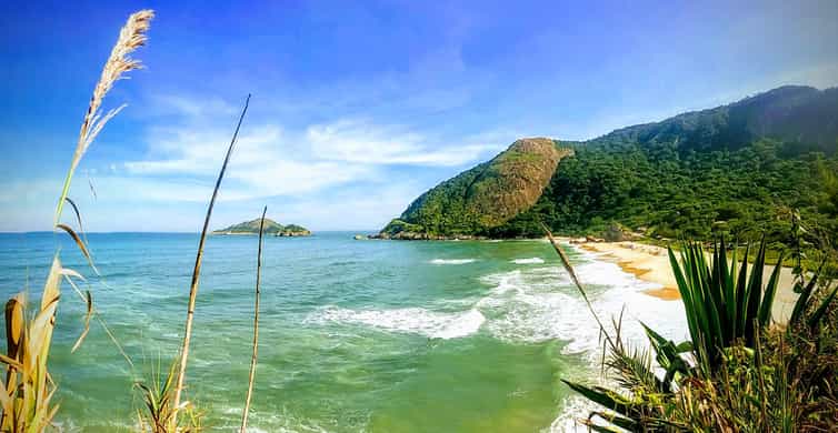 Rio de Janeiro Nature Secrets 'The Eco Citytour' | GetYourGuide