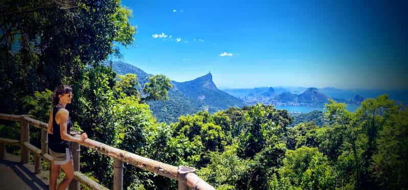 Rio de Janeiro Nature Secrets 'The Eco Citytour' | GetYourGuide