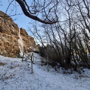 From Reykjavik: Explore the Waterfalls of the South Coast | GetYourGuide