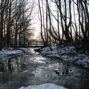 From Reykjavik: Explore the Waterfalls of the South Coast | GetYourGuide