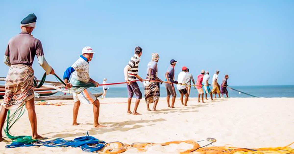 Negombo: Fishing Village Highlights Private Tour by Tuk Tuk | GetYourGuide