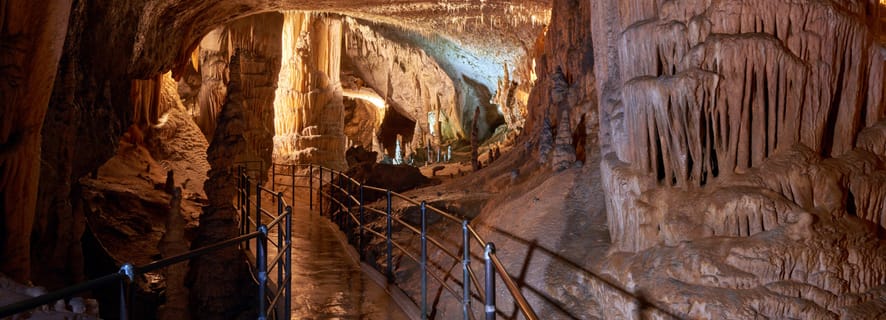 Grotten van Postojna in Postojna bezoeken? Nu tickets boeken ...